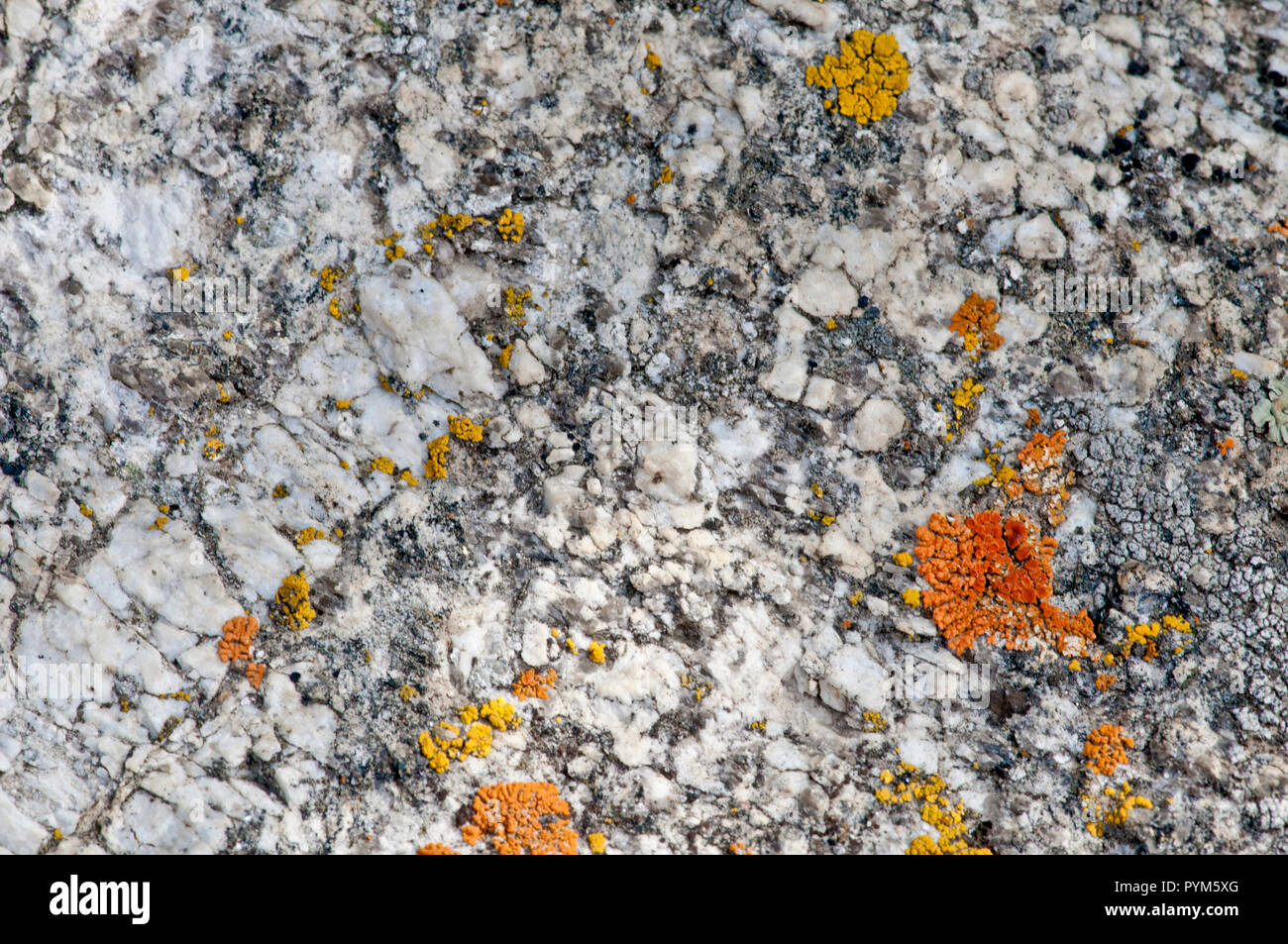 Metamorphic rocks metamorphic rocks -Fotos und -Bildmaterial in hoher ...
