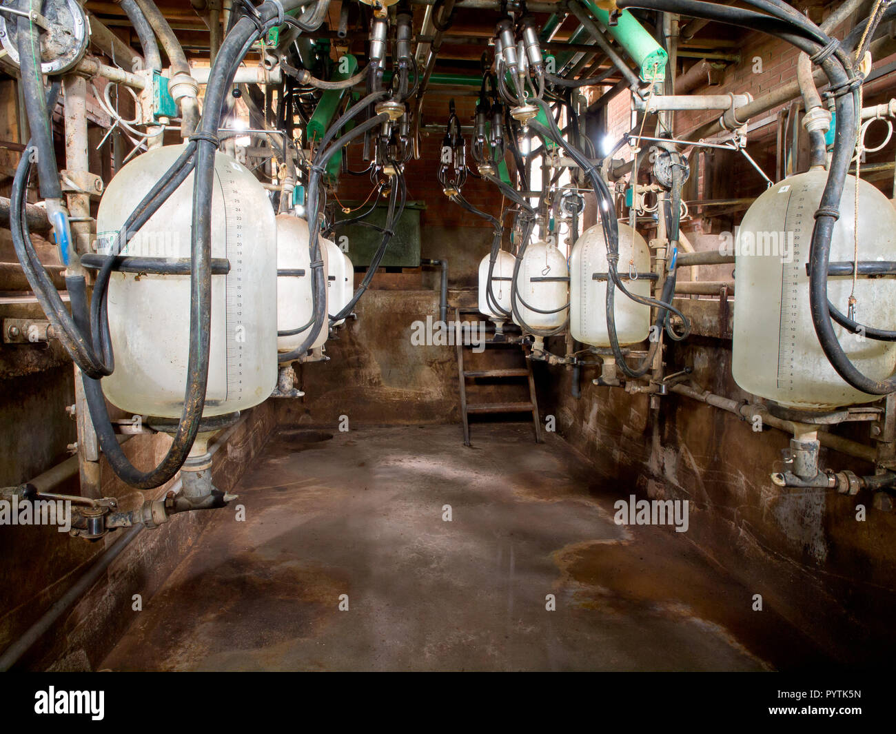 Moderner melkstand -Fotos und -Bildmaterial in hoher Auflösung – Alamy