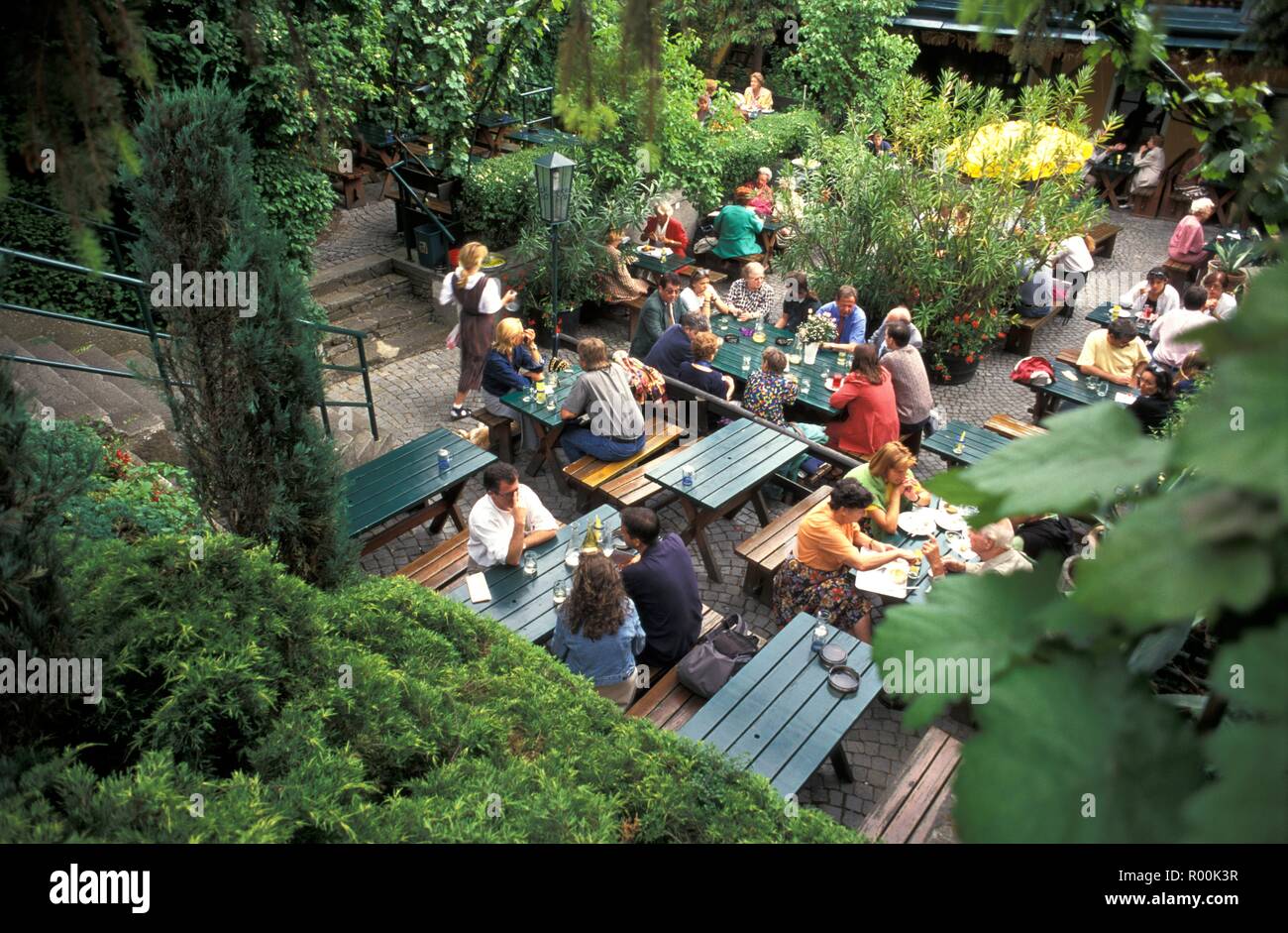 Wien, Heuriger Wolff, Neustift Stockfotografie - Alamy