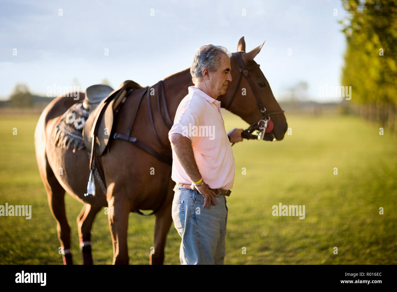 Seitenprofil Eines Mannes, Der Ein Pferd Reitet Stockfotos und -bilder ...