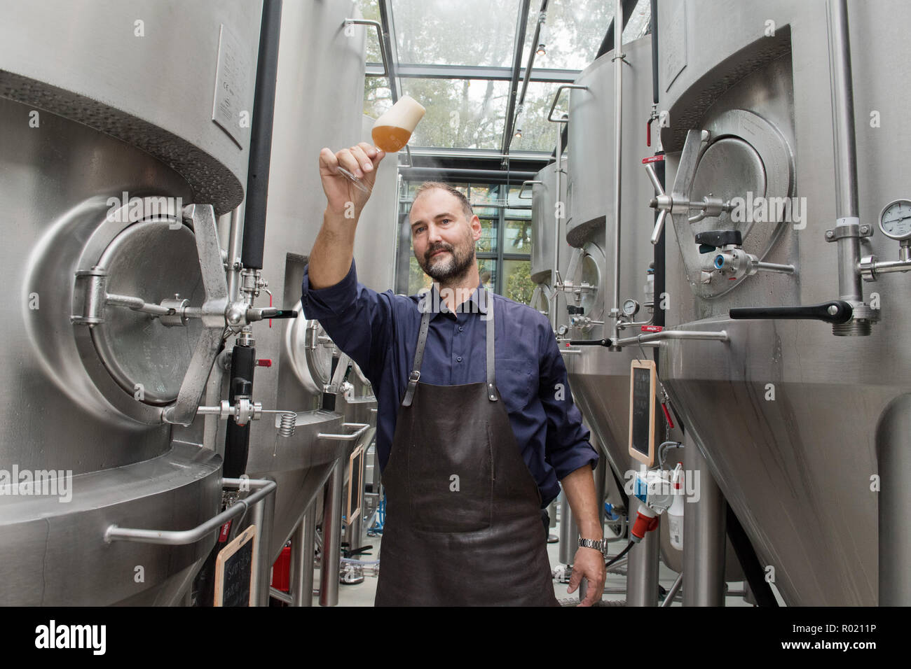 Mellenthin, Deutschland. 22 Okt, 2018. Auf der Insel Usedom die kleinen ...