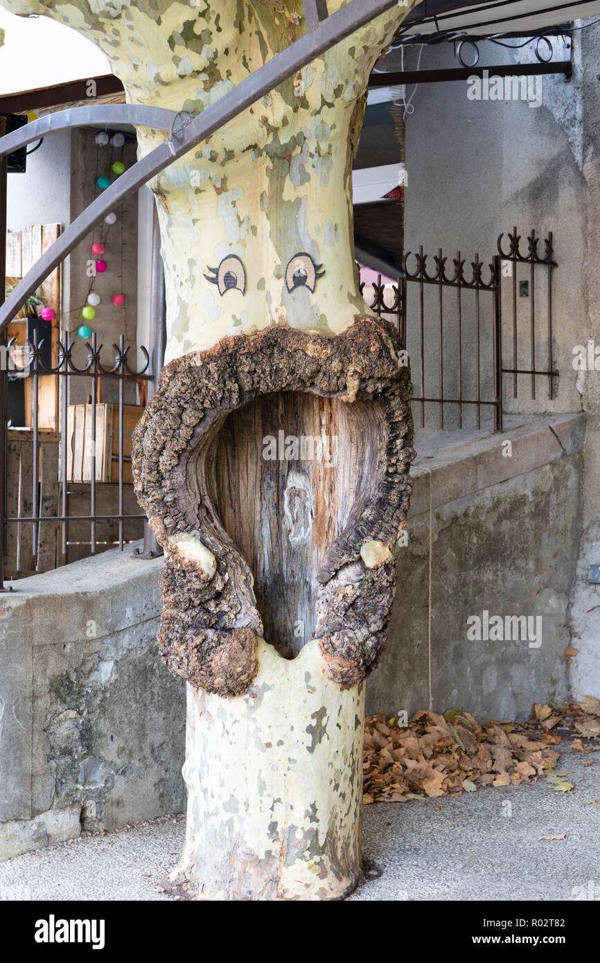 Baum mit loch -Fotos und -Bildmaterial in hoher Auflösung – Alamy