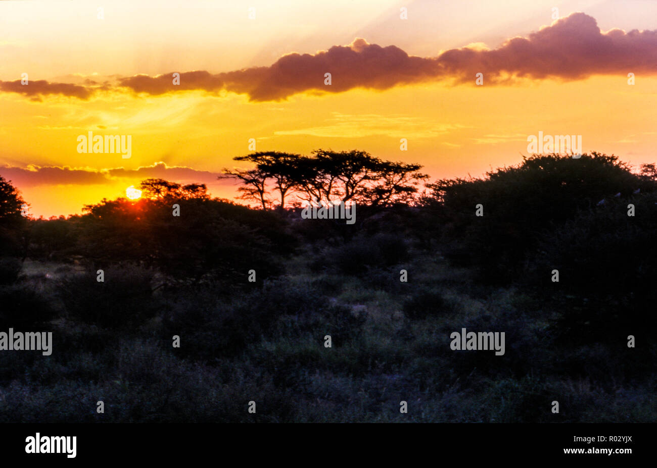 Ghanzi botswana -Fotos und -Bildmaterial in hoher Auflösung – Alamy