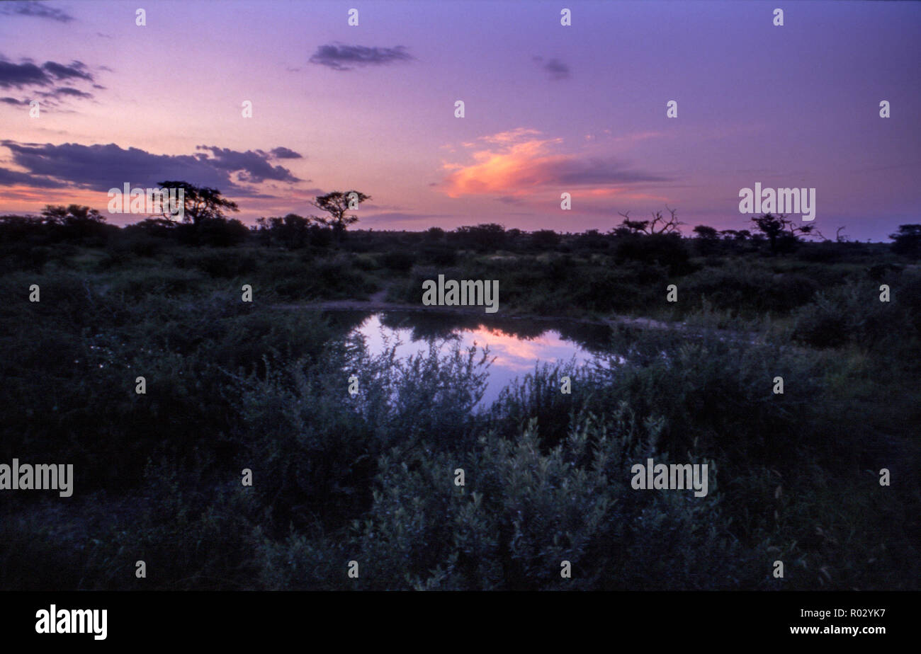 Ghanzi botswana -Fotos und -Bildmaterial in hoher Auflösung – Alamy