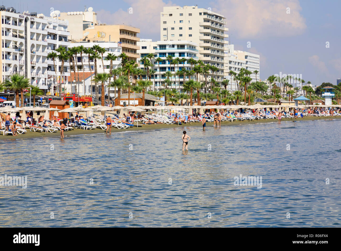 Finikoudes finikoudas phinikoudes promenade -Fotos und -Bildmaterial in ...