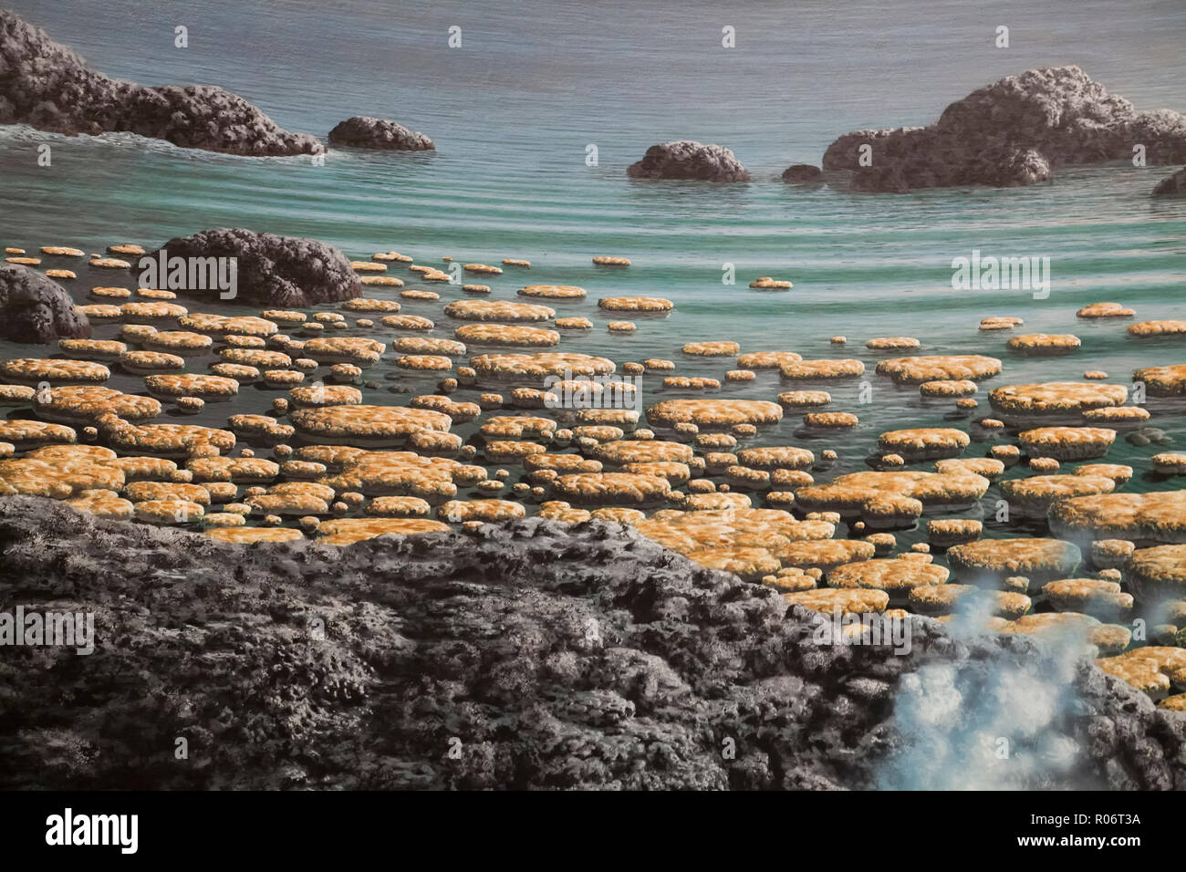 Archaikum Eon-Szene - eine Darstellung der stromatolithen in flachen ...