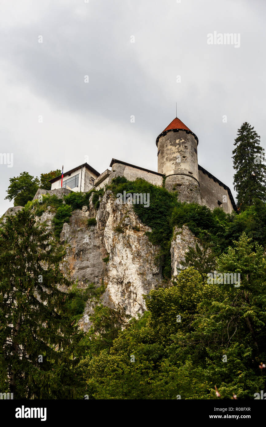 Die Burg von Bled (Blejski Grad) in Bled. Slowenien Stockfotografie - Alamy