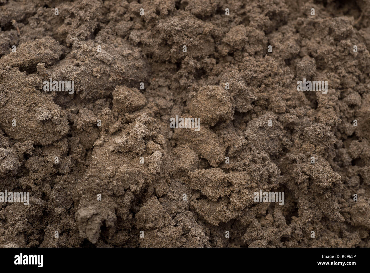 Makro bodenbeschaffenheit -Fotos und -Bildmaterial in hoher Auflösung ...