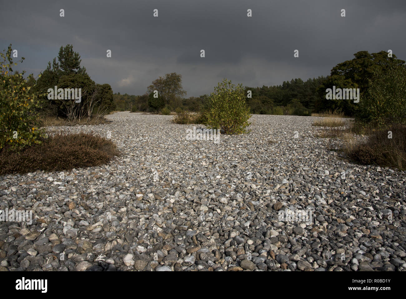 Mukran neu mukran -Fotos und -Bildmaterial in hoher Auflösung – Alamy