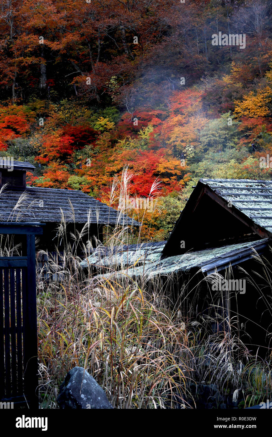Nyuto onsen -Fotos und -Bildmaterial in hoher Auflösung – Alamy