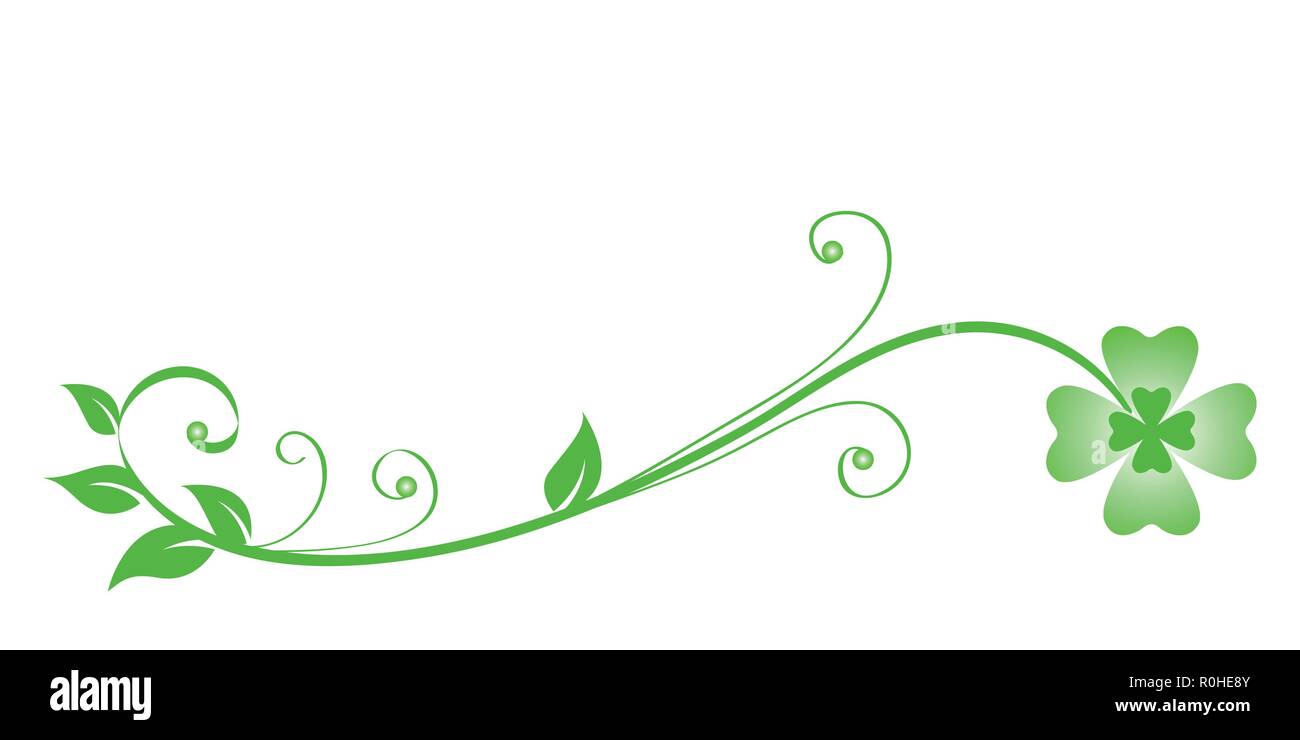 Grüne ranke Klee auf weißem Hintergrund Vektor-illustration EPS 10 ...