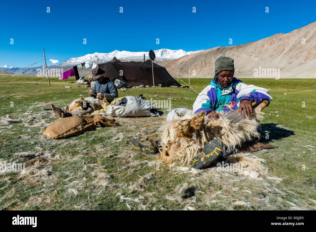 Plateau nomaden lager -Fotos und -Bildmaterial in hoher Auflösung – Alamy
