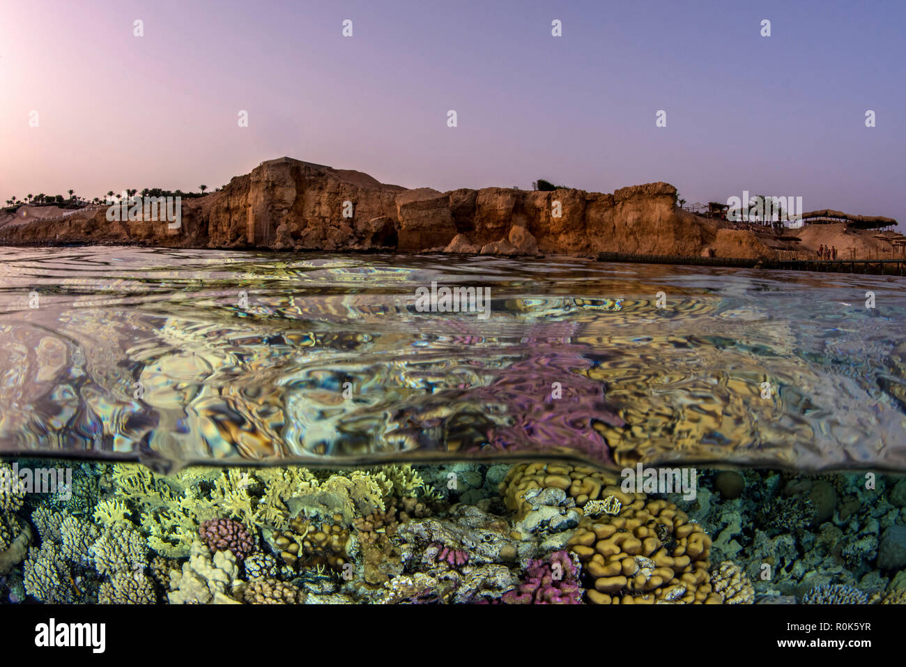 Eine über die unter in das Rote Meer geteilt Stockfotografie - Alamy