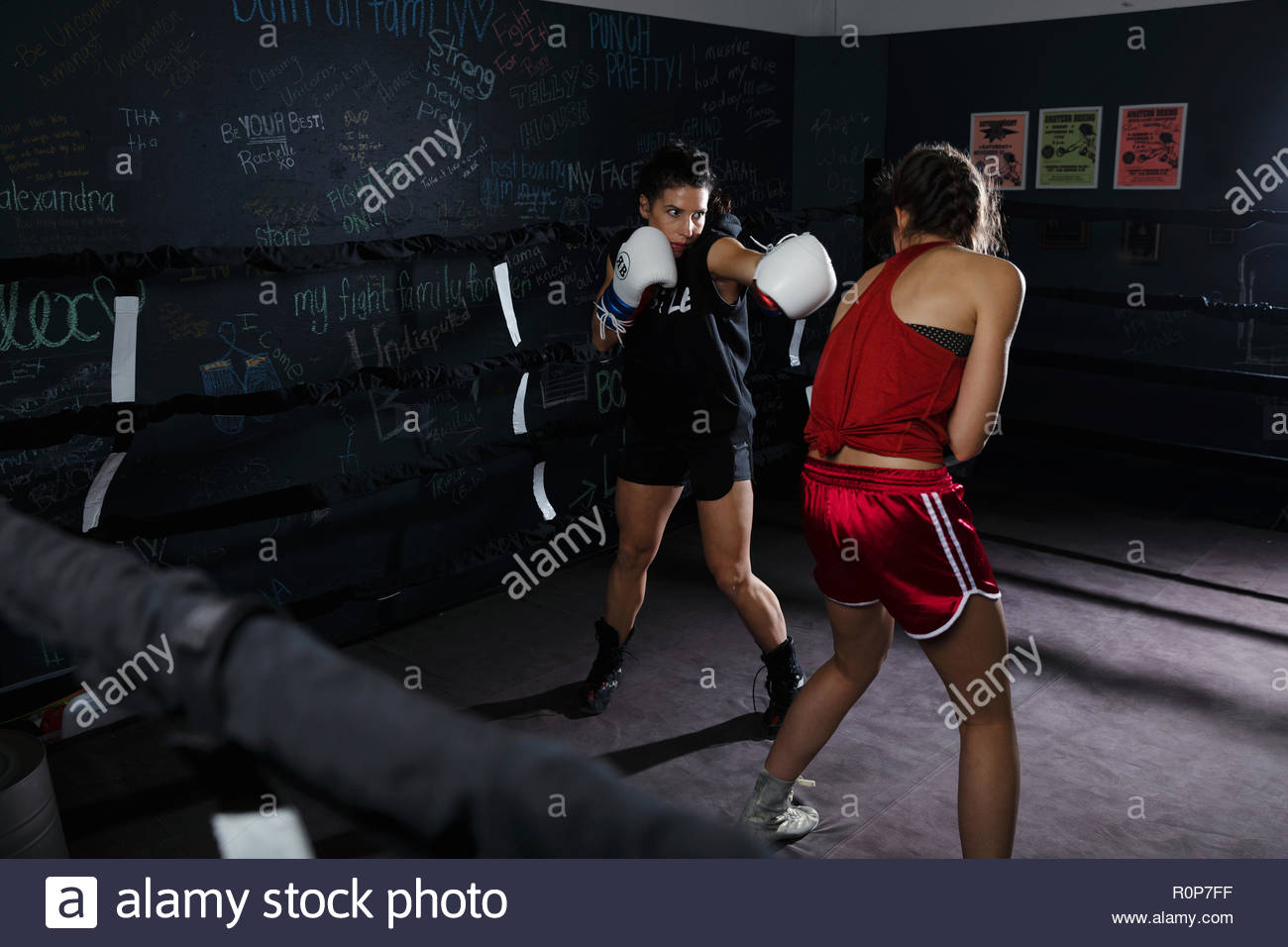 Female boxing sparring -Fotos und -Bildmaterial in hoher Auflösung – Alamy
