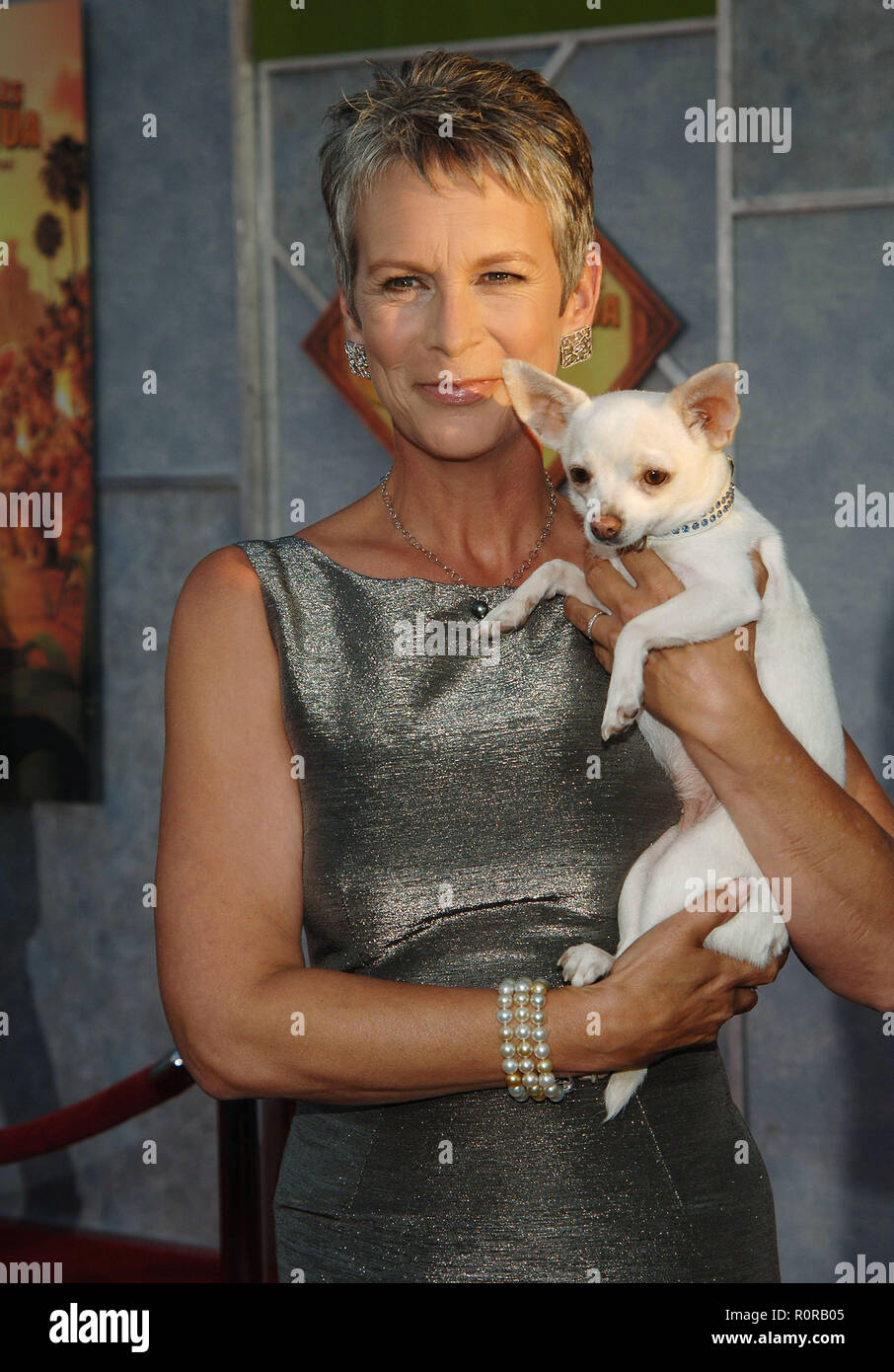Jamie Lee Curtis stellt die Chihuahua - Beverly Hills Chihuahua ...
