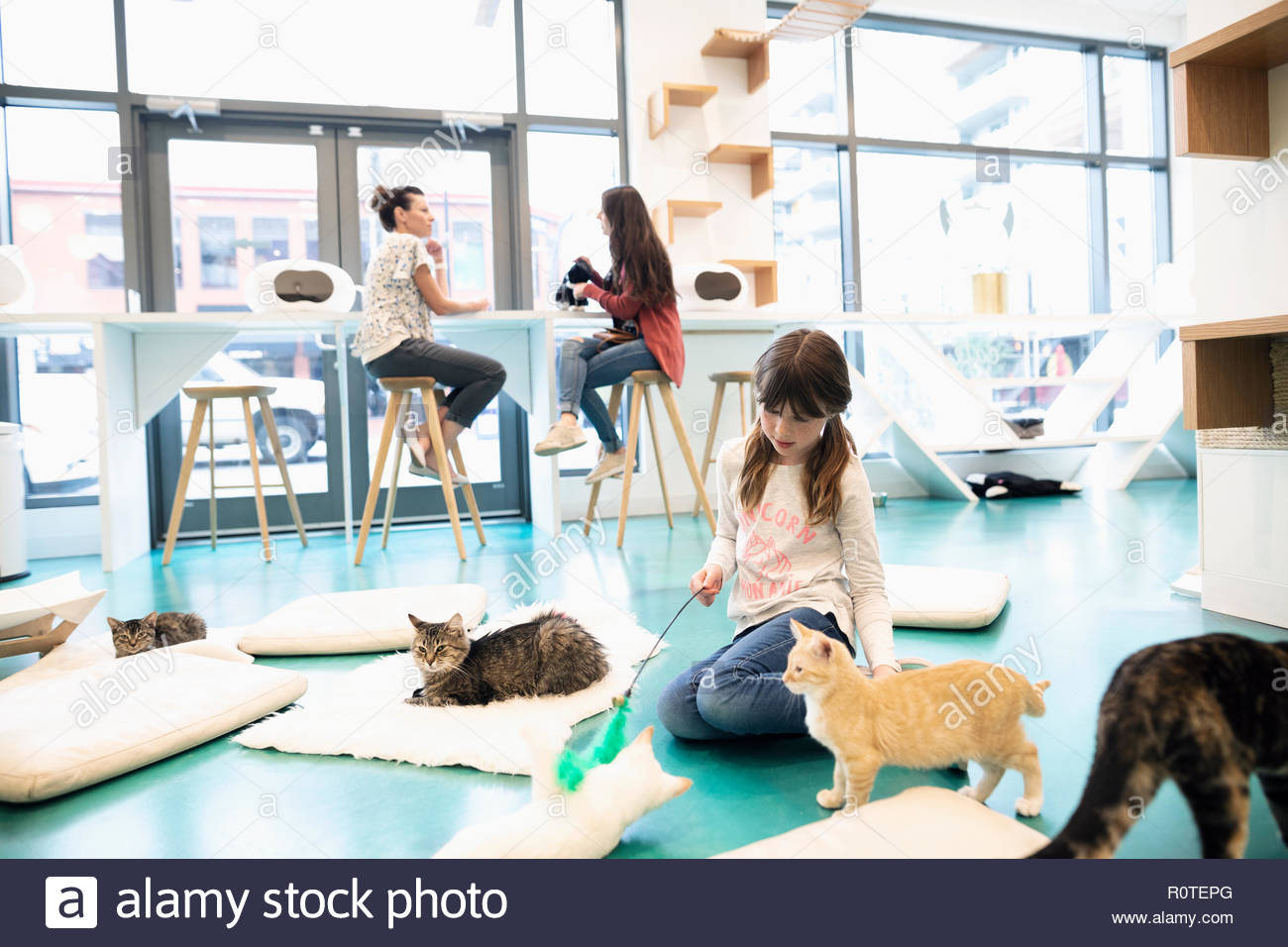 Mädchen spielt mit katze -Fotos und -Bildmaterial in hoher Auflösung ...