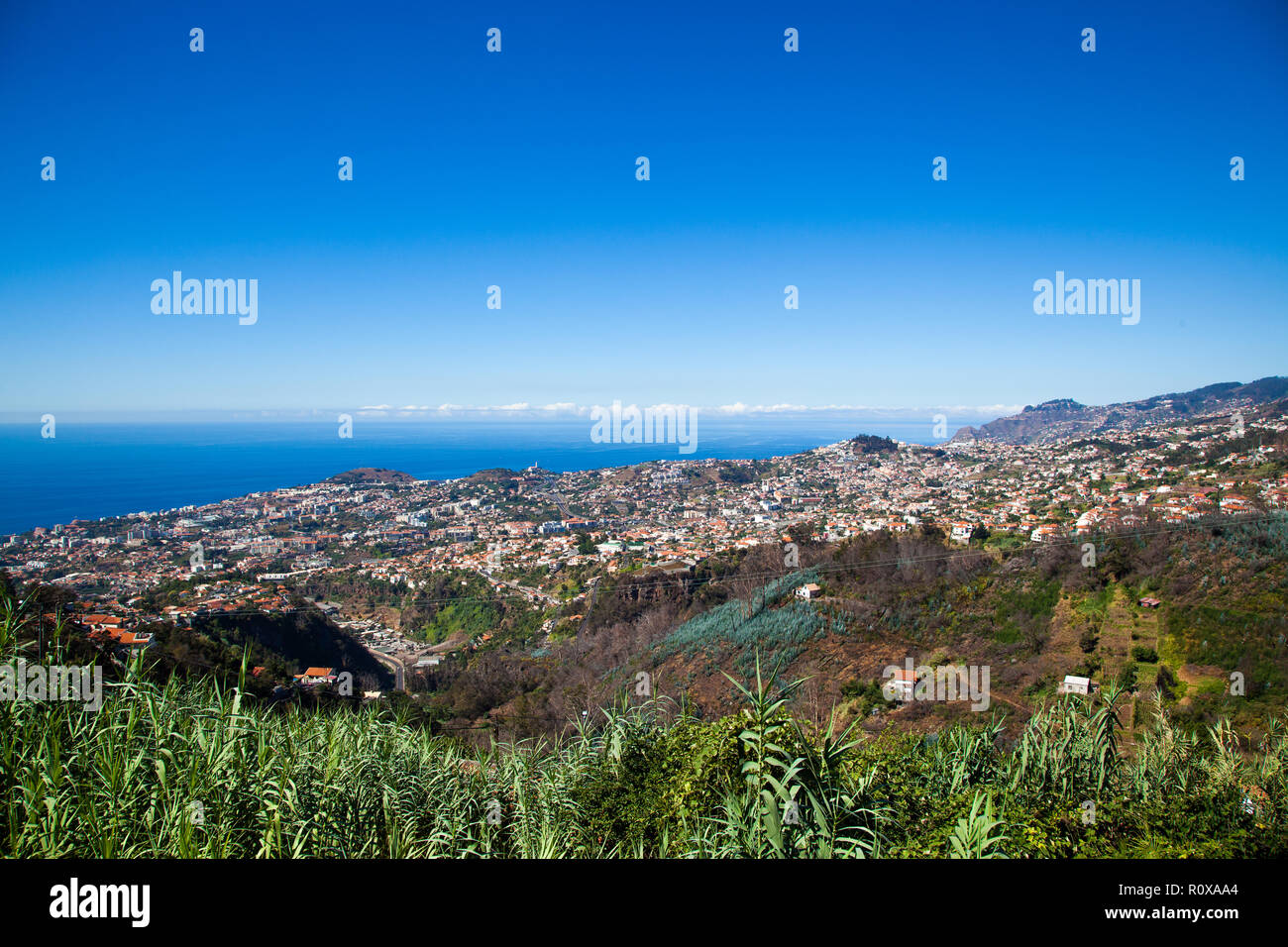 Panorama funchal -Fotos und -Bildmaterial in hoher Auflösung – Alamy