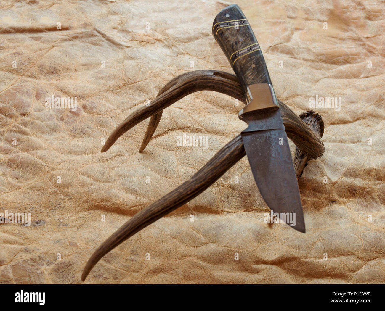 Ein feststehendes Messer Damast Messer angezeigt auf einem Hirsch ...