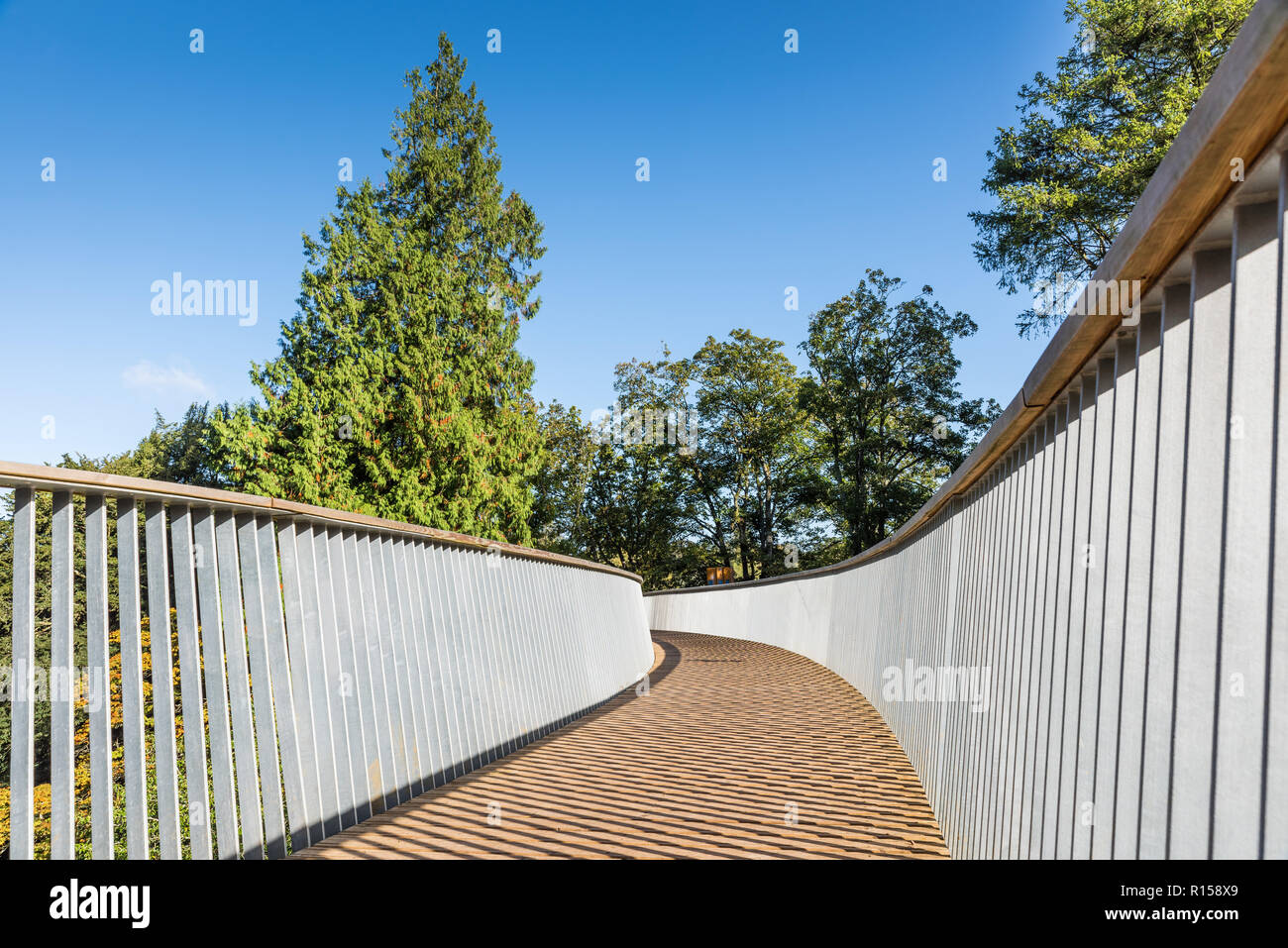 Tree canopy bridge -Fotos und -Bildmaterial in hoher Auflösung – Alamy