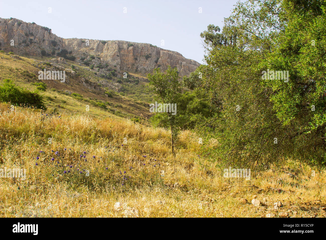 Das Tal der Tauben in der arbel Nature Reserve in Israel. Dies ist Teil ...