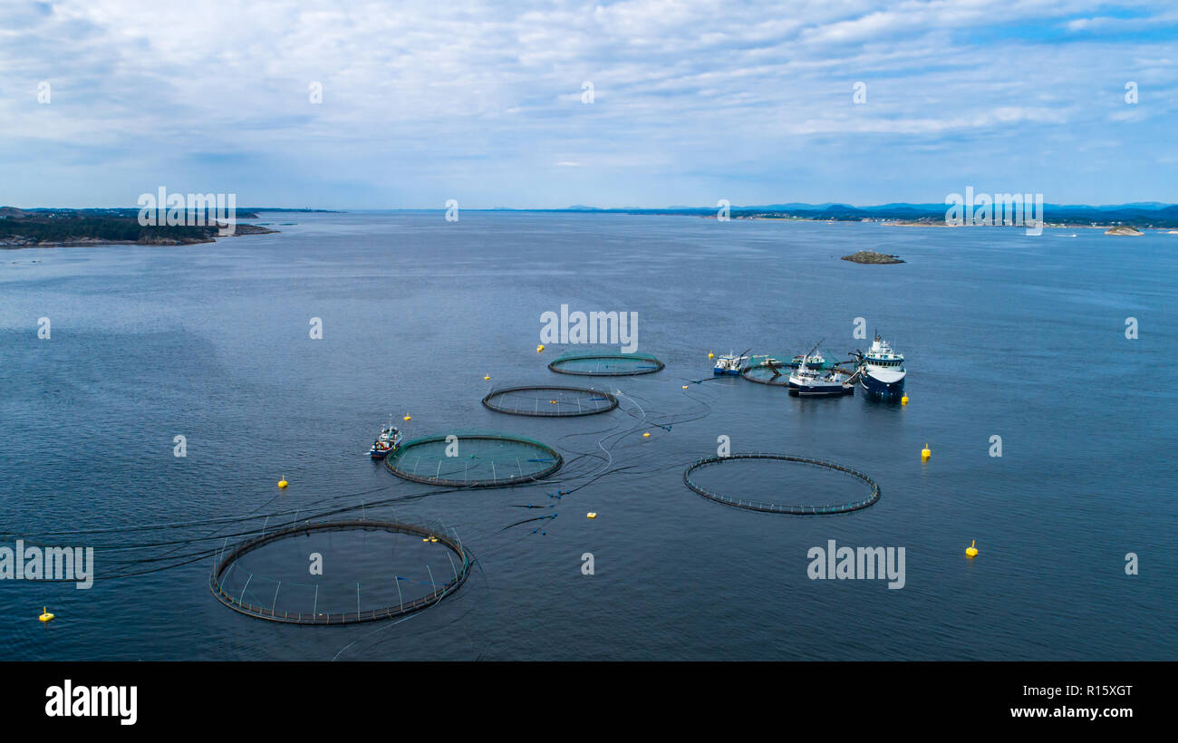 Salmon Farm In Fjord In Stockfotos und -bilder Kaufen - Alamy