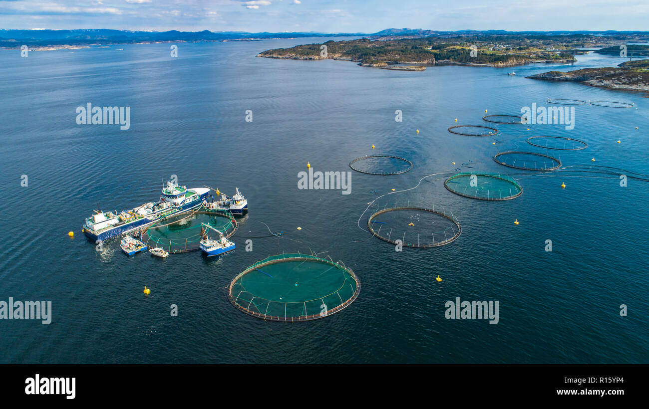 Salmon Farm In Fjord In Stockfotos und -bilder Kaufen - Alamy