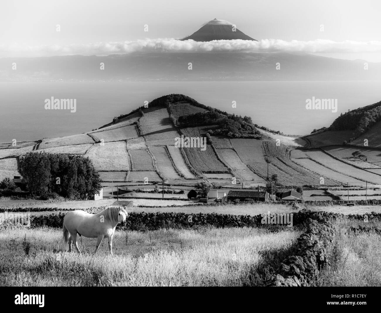 Vulkan pico do fogo Schwarzweiß-Stockfotos und -bilder - Alamy