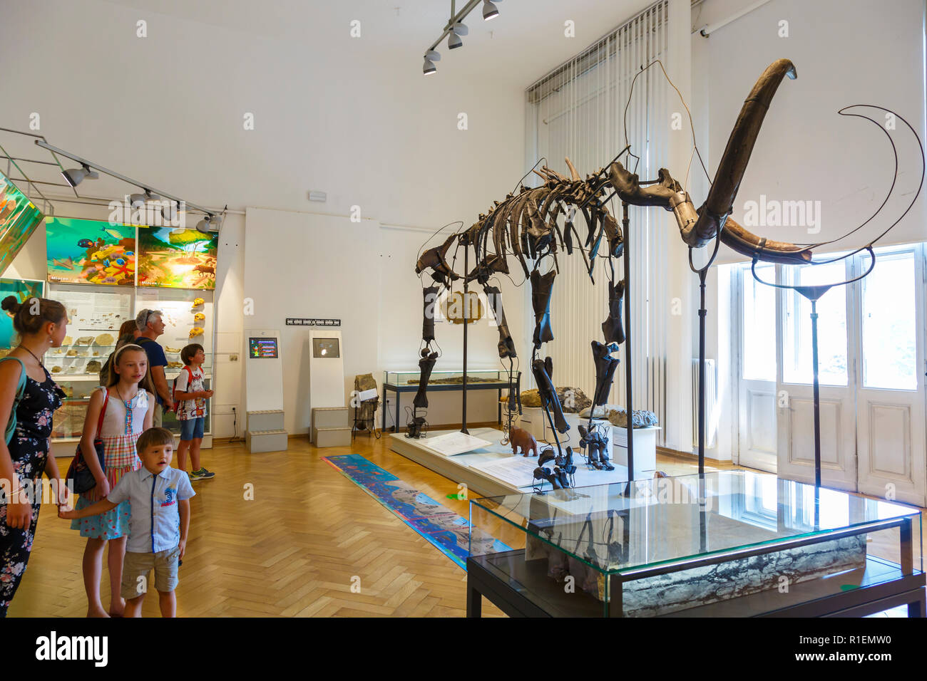 Mammut museum mammut skelett mammuthus -Fotos und -Bildmaterial in ...