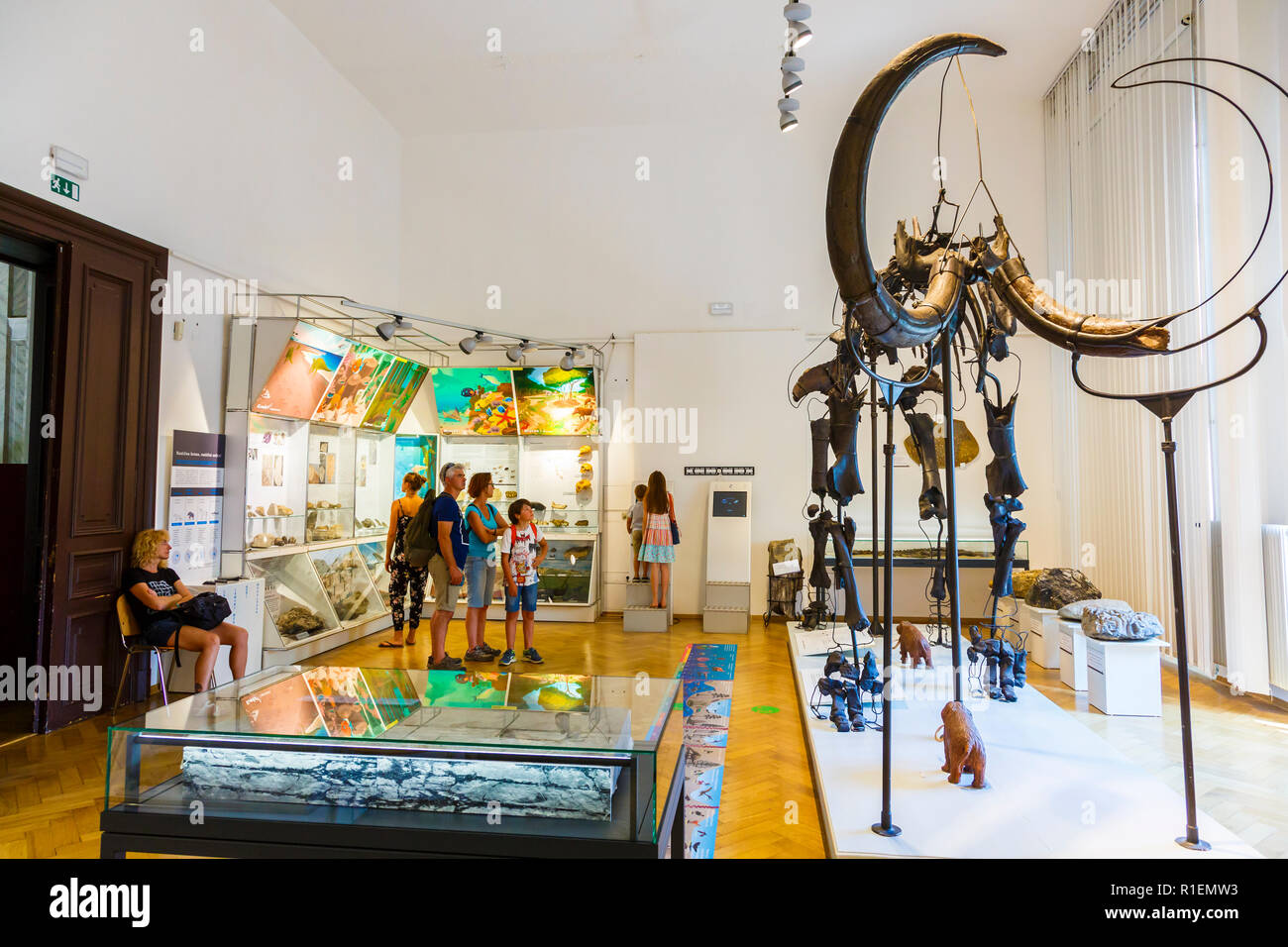 Mammut museum mammut skelett mammuthus -Fotos und -Bildmaterial in ...