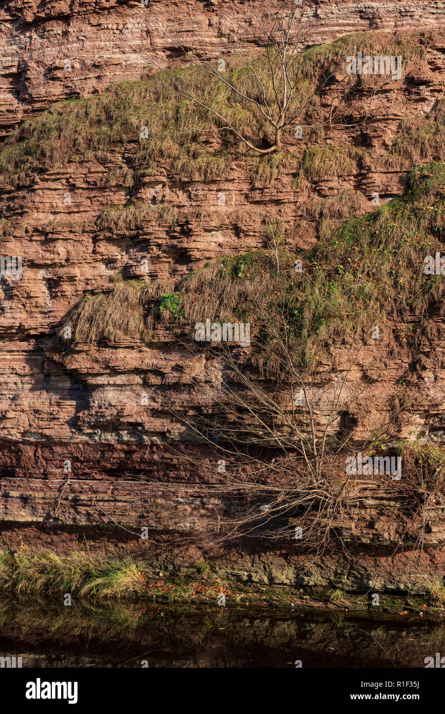Devonian sandstone -Fotos und -Bildmaterial in hoher Auflösung – Alamy