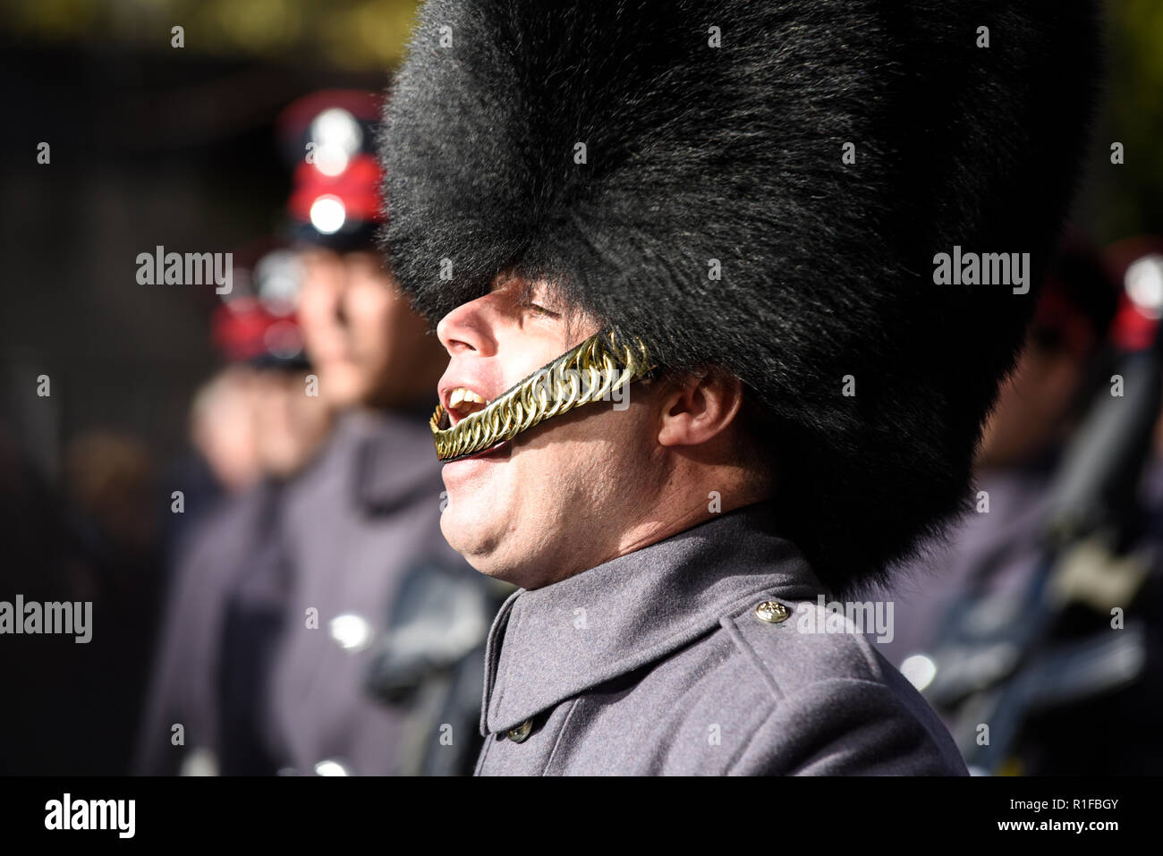 Army officer parade -Fotos und -Bildmaterial in hoher Auflösung – Alamy