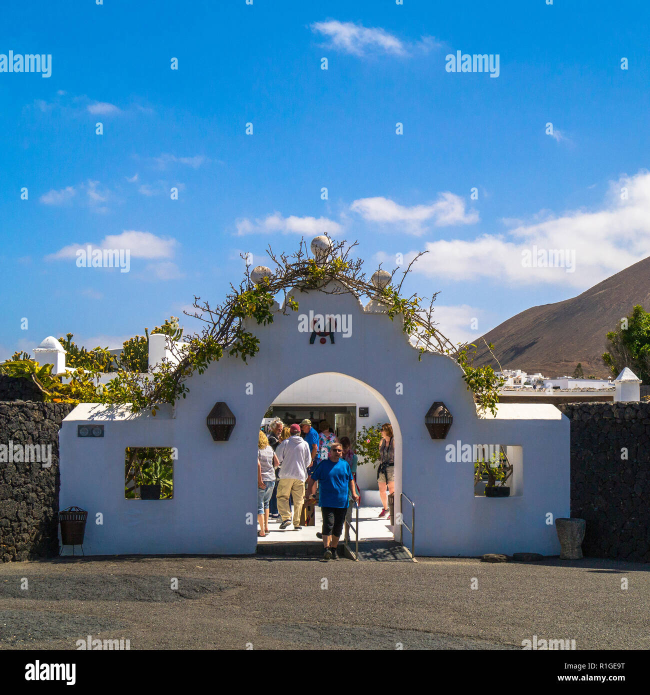 El Taro De Tahiche Stockfotos und -bilder Kaufen - Alamy