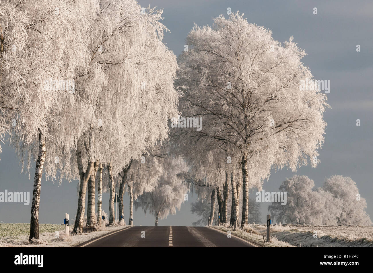 Heath land -Fotos und -Bildmaterial in hoher Auflösung – Alamy