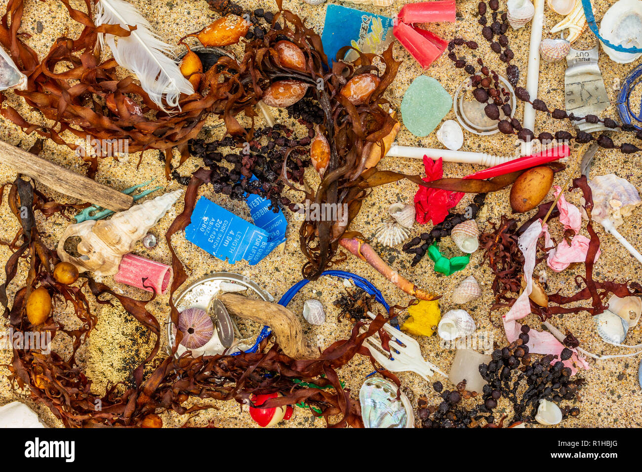 Plastic pollution sea -Fotos und -Bildmaterial in hoher Auflösung – Alamy