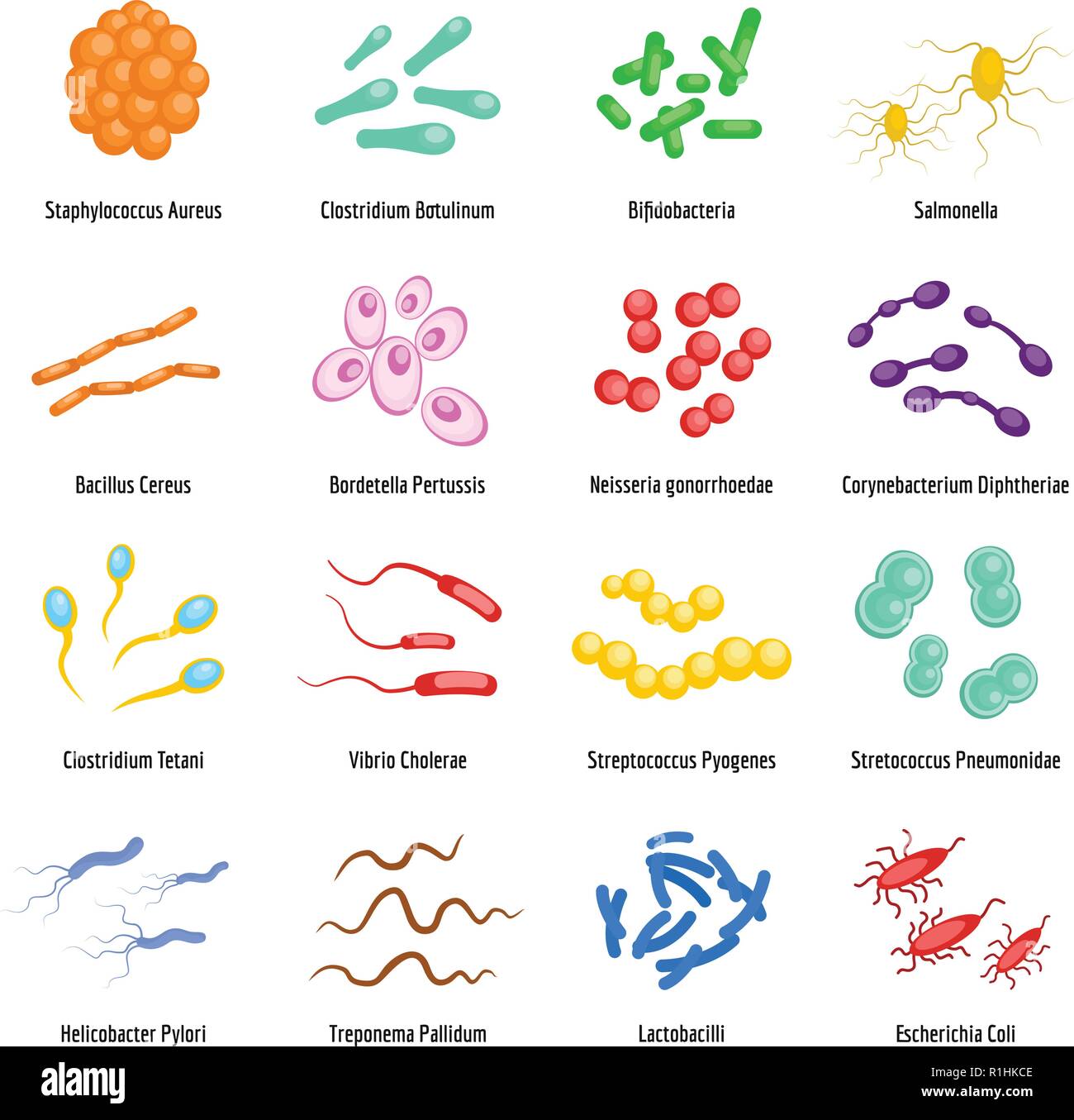 Viren und Bakterien Symbole gesetzt. Flache Darstellung von 16 Viren ...