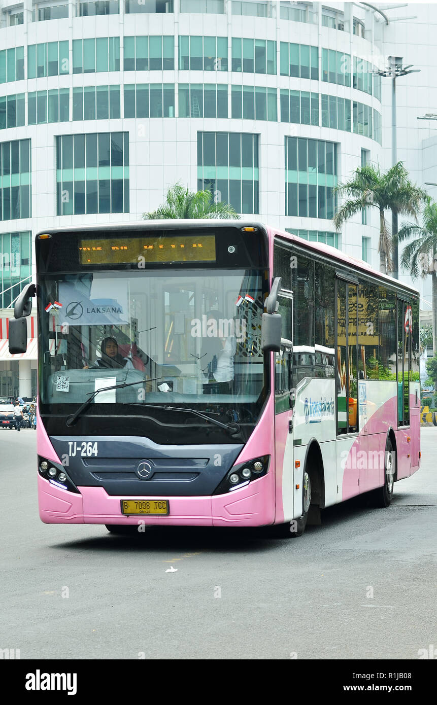 Neuer scania bus -Fotos und -Bildmaterial in hoher Auflösung – Alamy