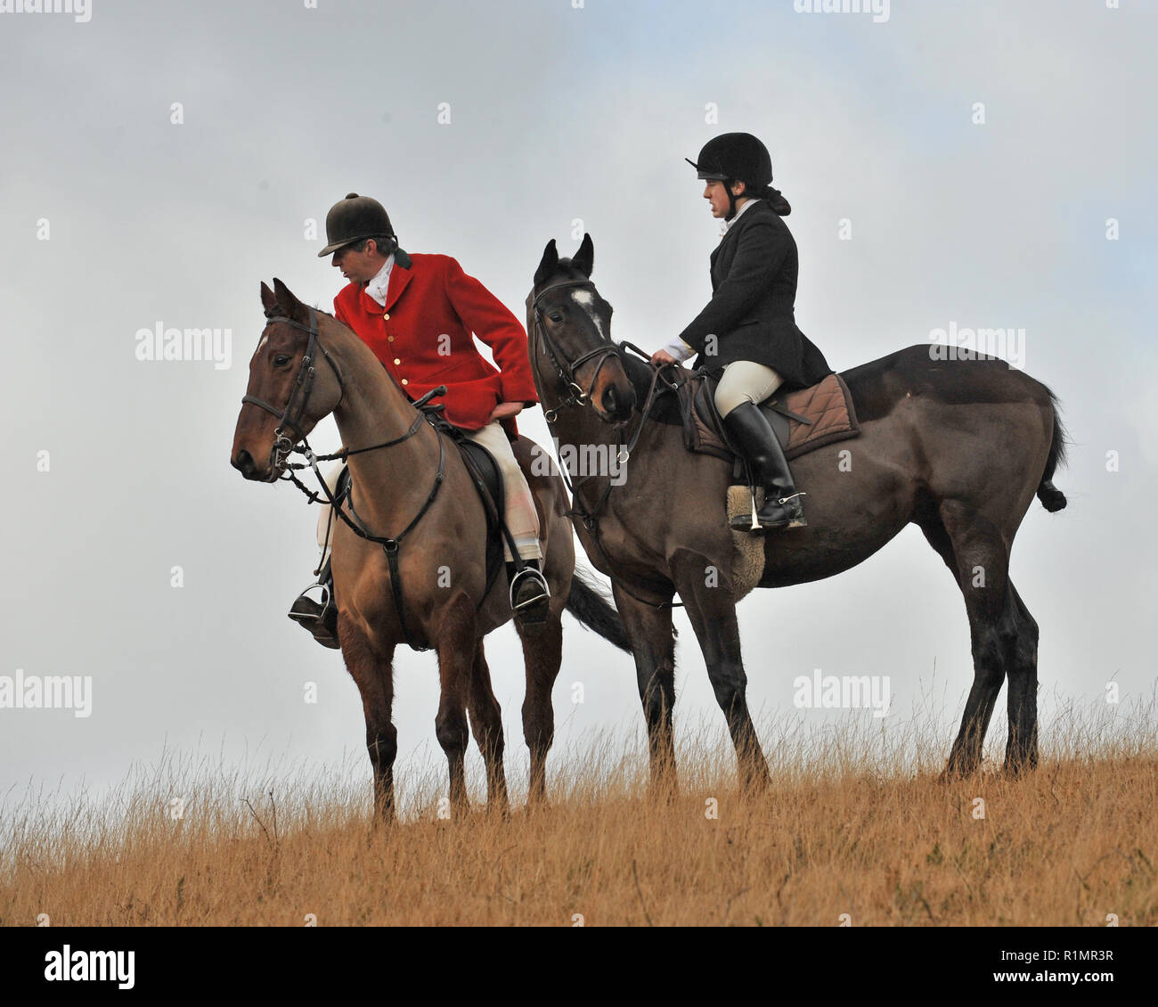 Fox Hunting Blood Stockfotos und -bilder Kaufen - Alamy