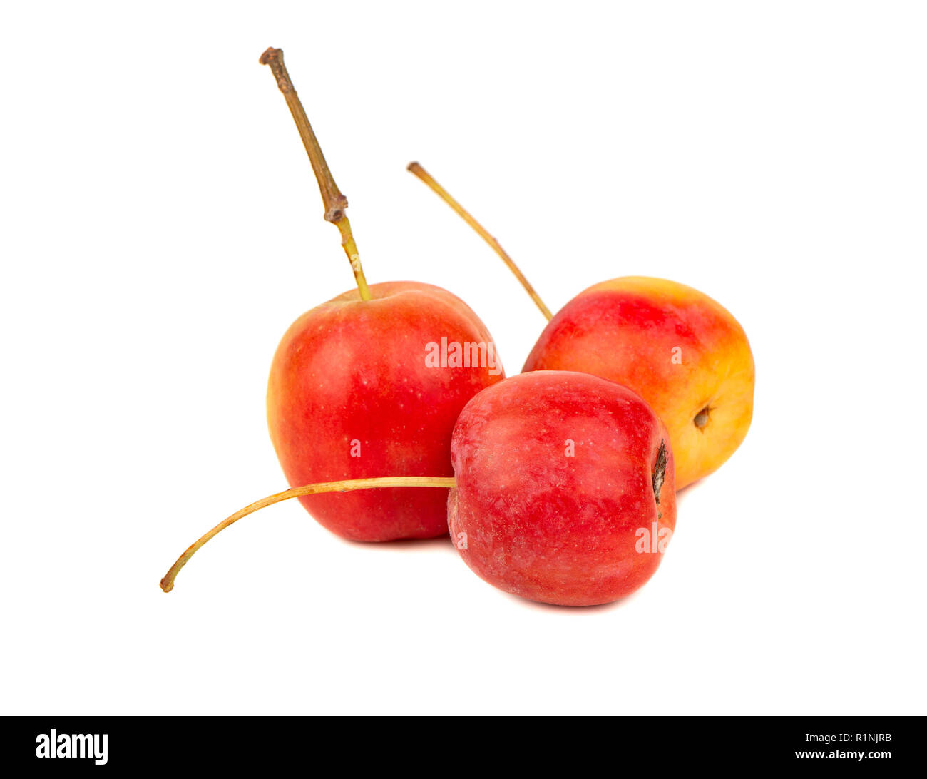 Kleines paradies -Fotos und -Bildmaterial in hoher Auflösung – Alamy