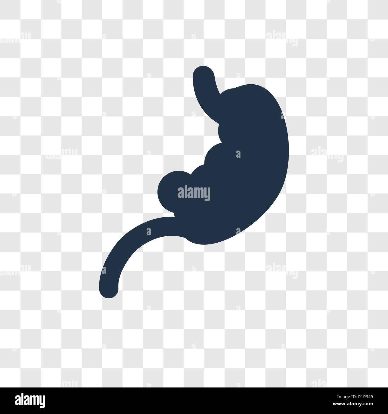 Magen vektor Icon auf transparentem Hintergrund isoliert, Magen ...