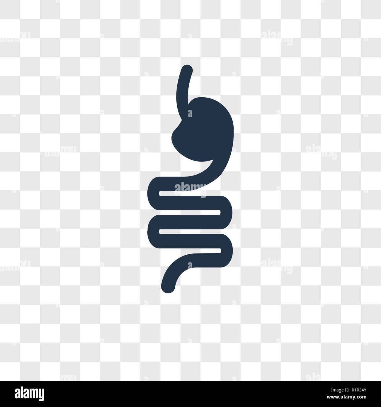 Darm vektor Icon auf transparentem Hintergrund isoliert, Darm ...