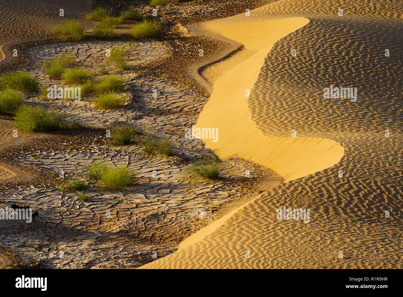 Leeres viertel -Fotos und -Bildmaterial in hoher Auflösung – Alamy