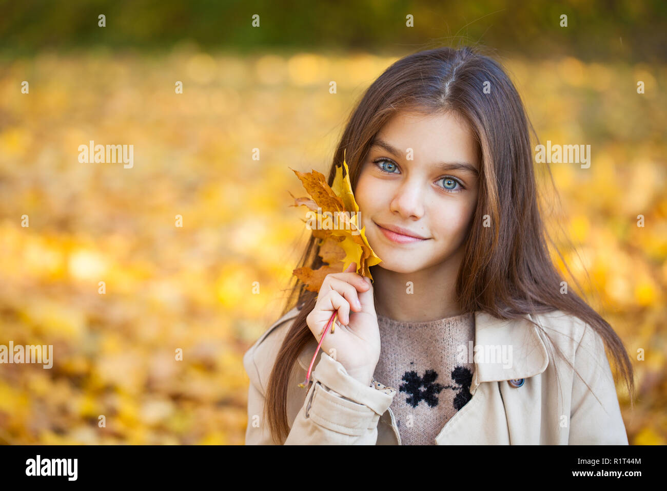 Süßes kleines mädchen 14 jahre -Fotos und -Bildmaterial in hoher ...