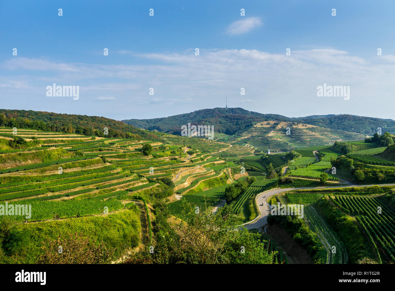 Weinanbau deutschland -Fotos und -Bildmaterial in hoher Auflösung – Alamy