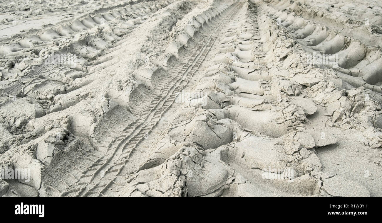 Spuren strand -Fotos und -Bildmaterial in hoher Auflösung – Alamy Spuren strand -Fotos und -Bildmaterial in hoher Auflösung – Alamy