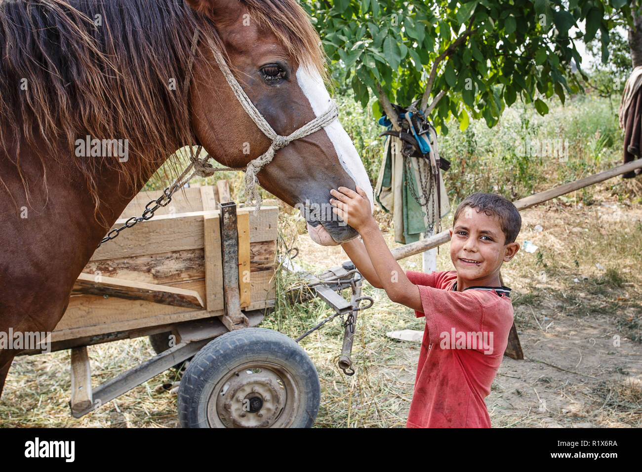 Gypsy gipsy ethnic roma -Fotos und -Bildmaterial in hoher Auflösung – Alamy