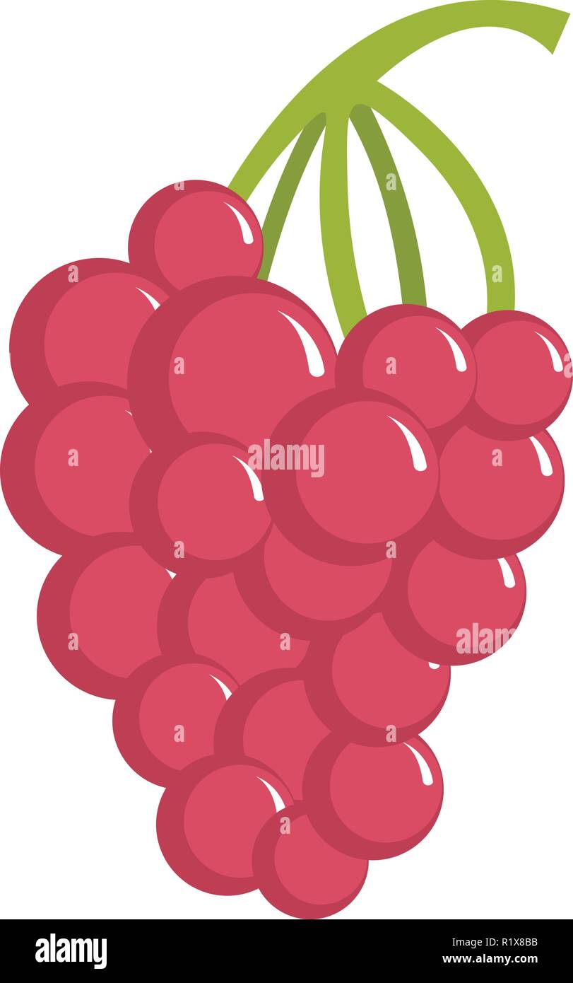 Grape-Symbol. Cartoon Illustration der Traube vektor Symbol für Web ...