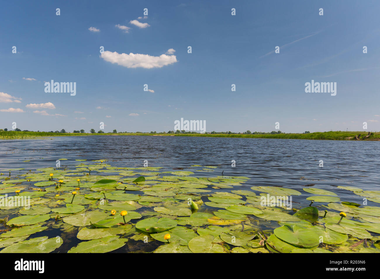 Warta river -Fotos und -Bildmaterial in hoher Auflösung – Alamy
