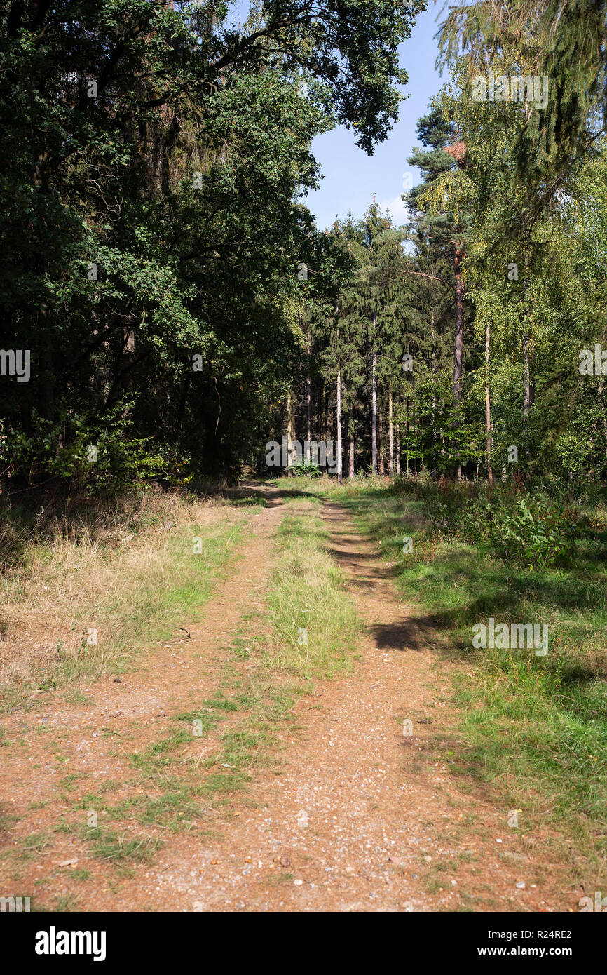 Nationaler meinweg wald -Fotos und -Bildmaterial in hoher Auflösung – Alamy