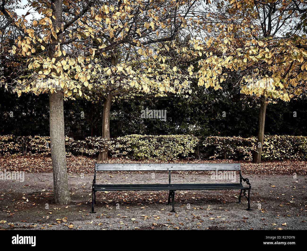 Parkbank abstrakt -Fotos und -Bildmaterial in hoher Auflösung – Alamy