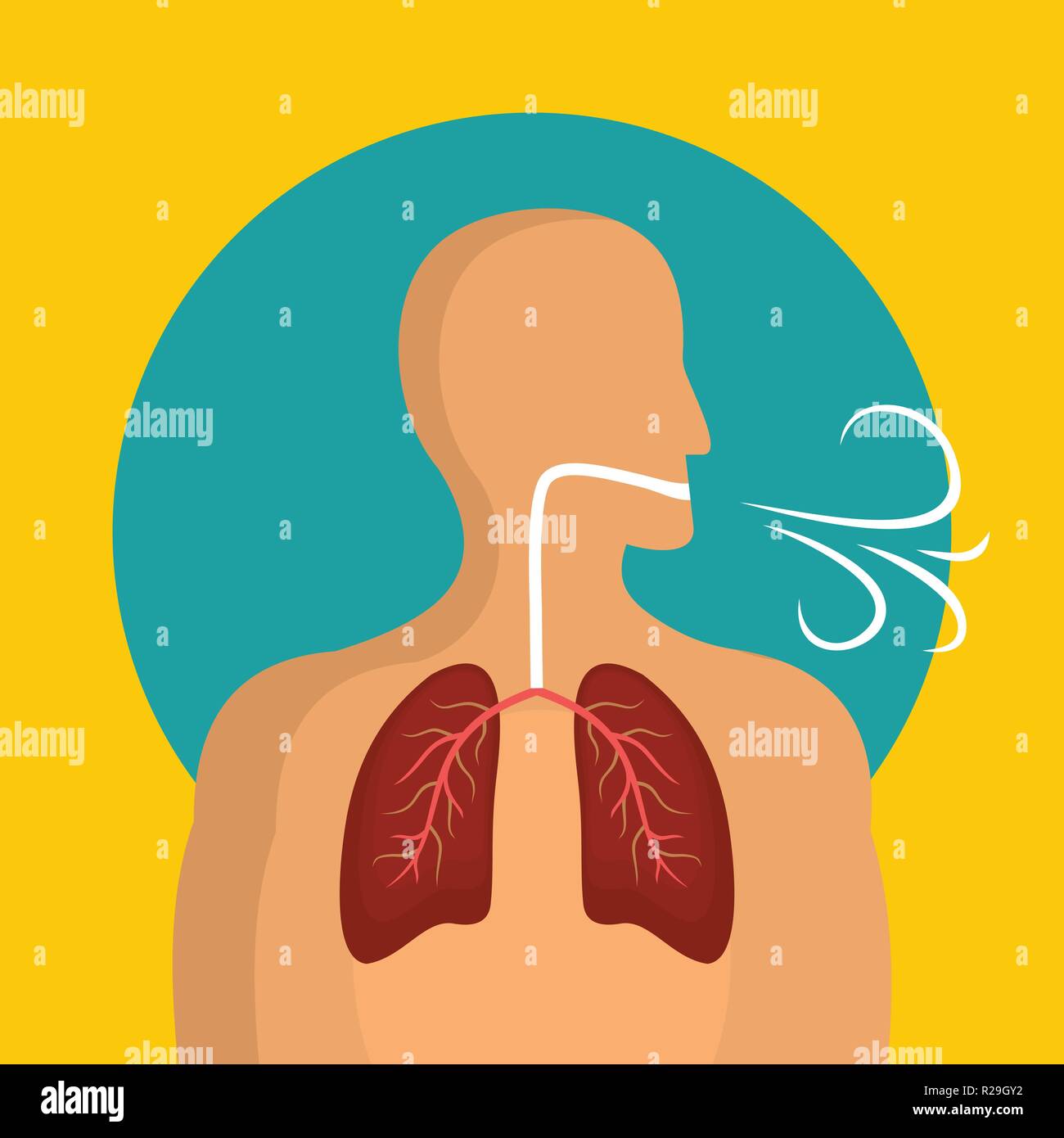 Atmung Lunge Symbol. Flache Darstellung der Atmung Lunge vektor Symbol ...